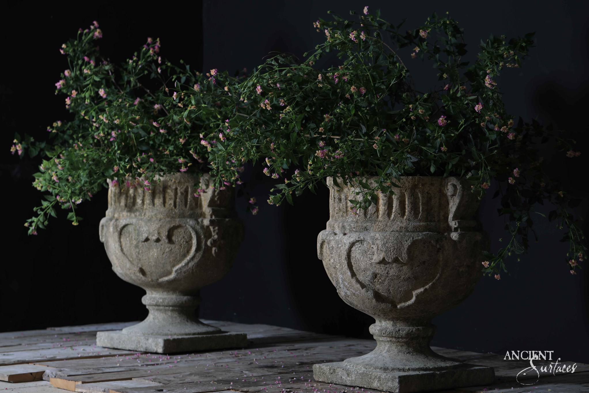 Sculpted Serenity: The Stone Planters of Ancient Surfaces